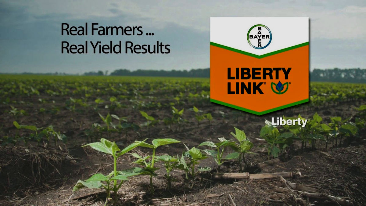 Survey Shows LibertyLink System Rates Highest With Growers | AgNewsWire